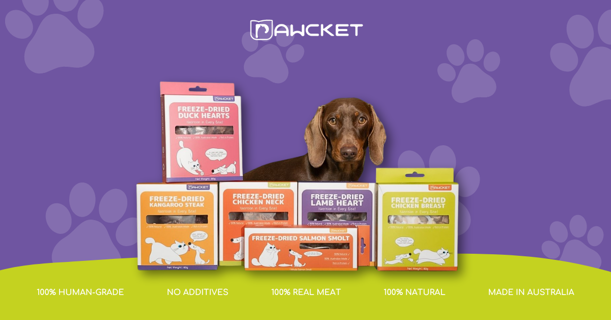 Let's Connect! 🐾 – Pawcket Pet Treats